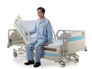 Paramount Bed Qualitas Plus Japan | Zirar Enterprises Paramount Beds